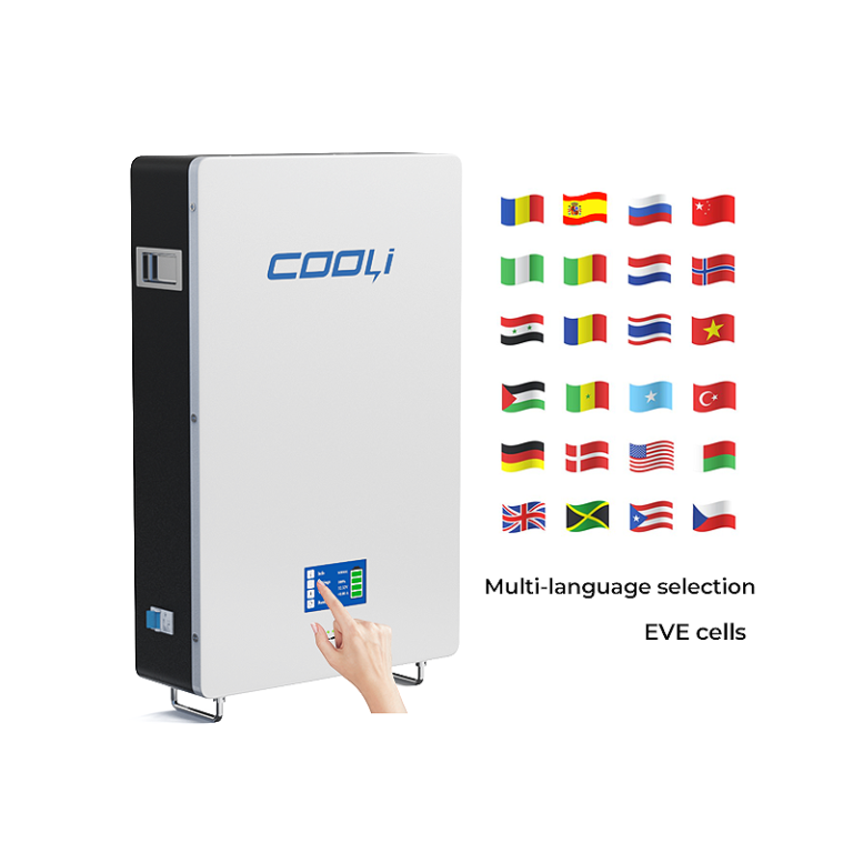 Solar System Battery (Multi-Language Selection) - Cooli Lithium Battery ...